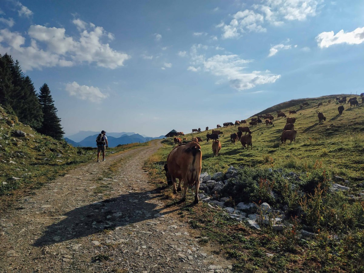 La traversée des Bauges par ses plus hauts sommets