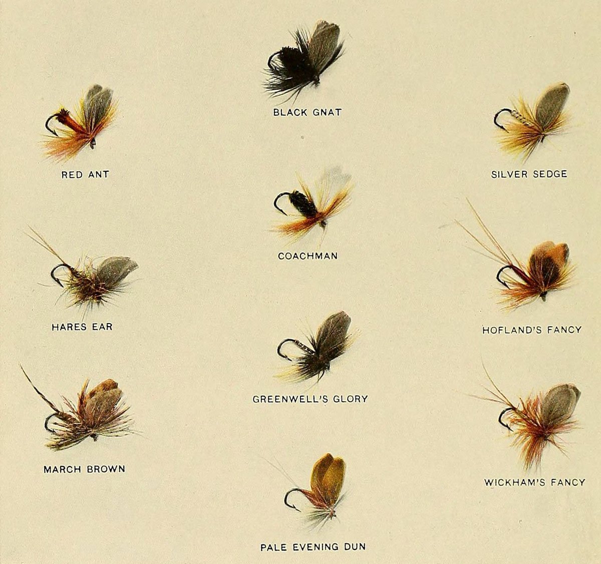 Le petit guide de la pêche à la mouche, dans le Berry