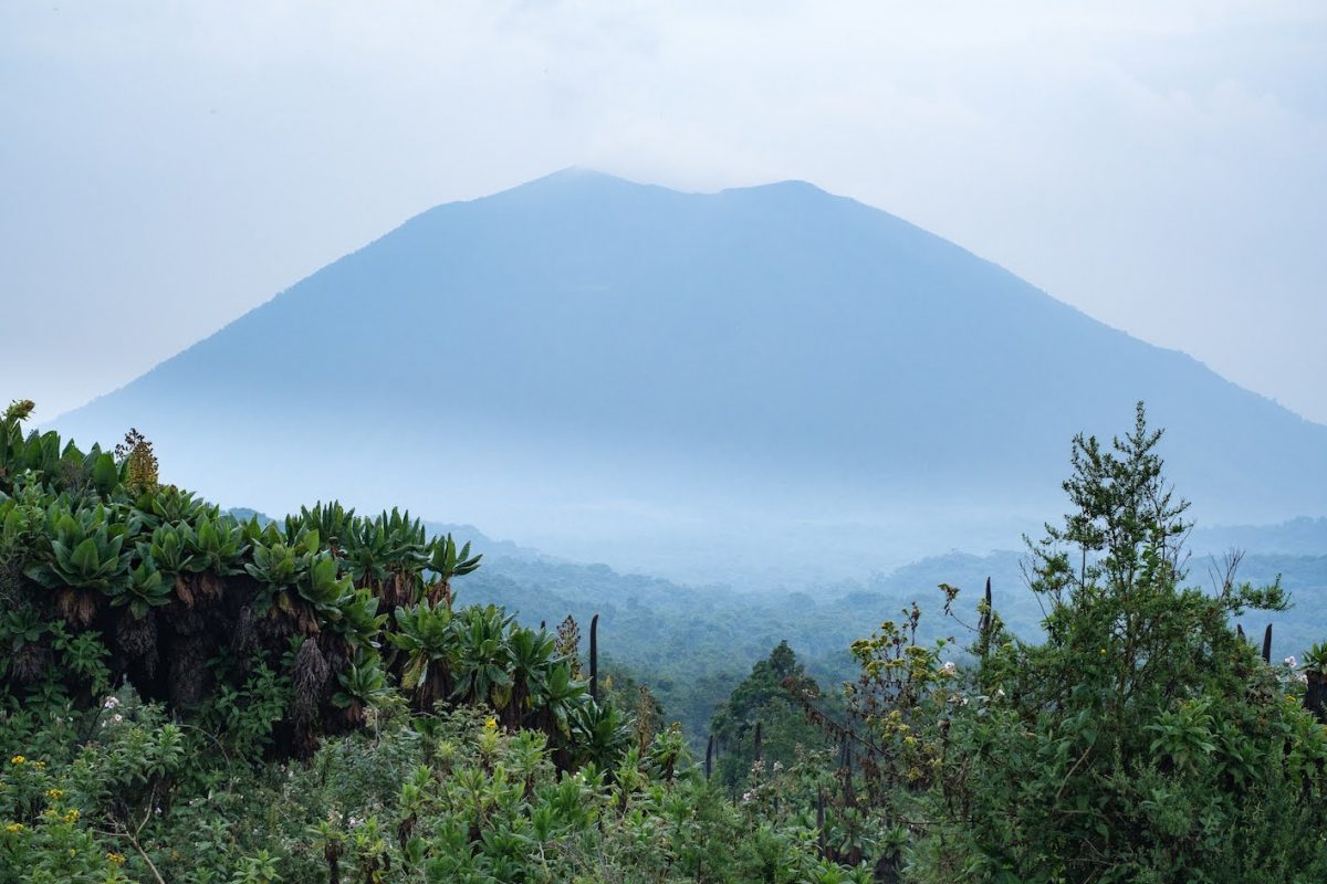 L'ascension du volcan Karisimbi, au Rwanda