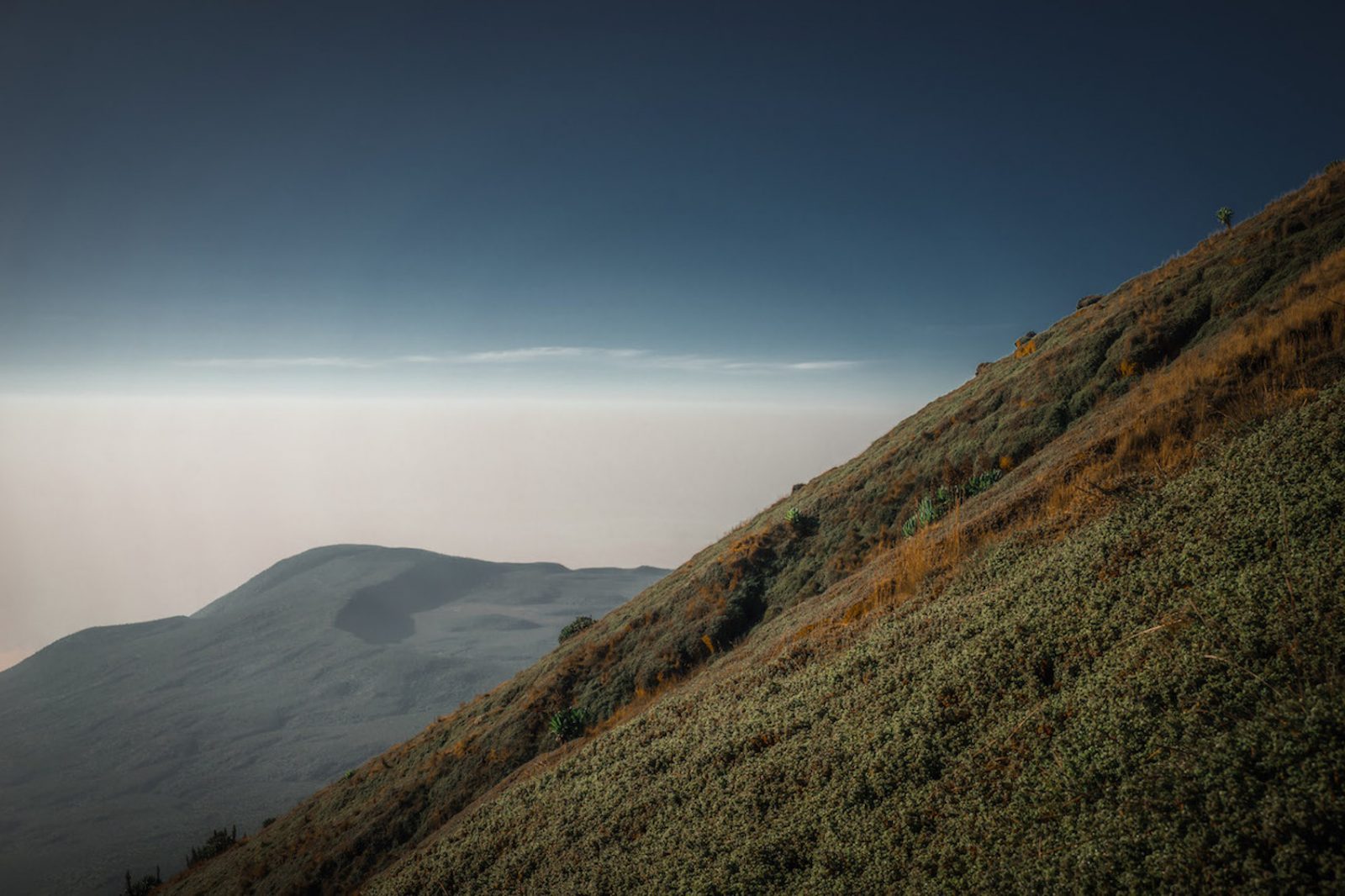 L'ascension du volcan Karisimbi, au Rwanda