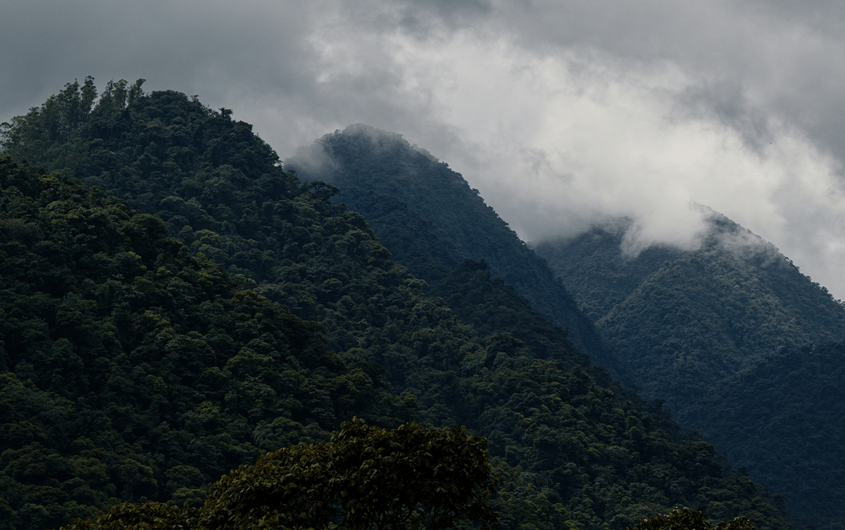 Mode survie sur la montagne sacrée, Morgan Segui – Les Baladeurs